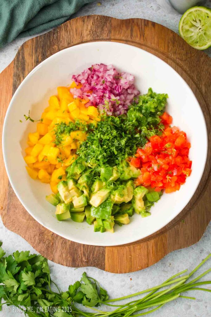 Fresh Mango Salsa (Perfect for Fish, Tacos or Chips!)